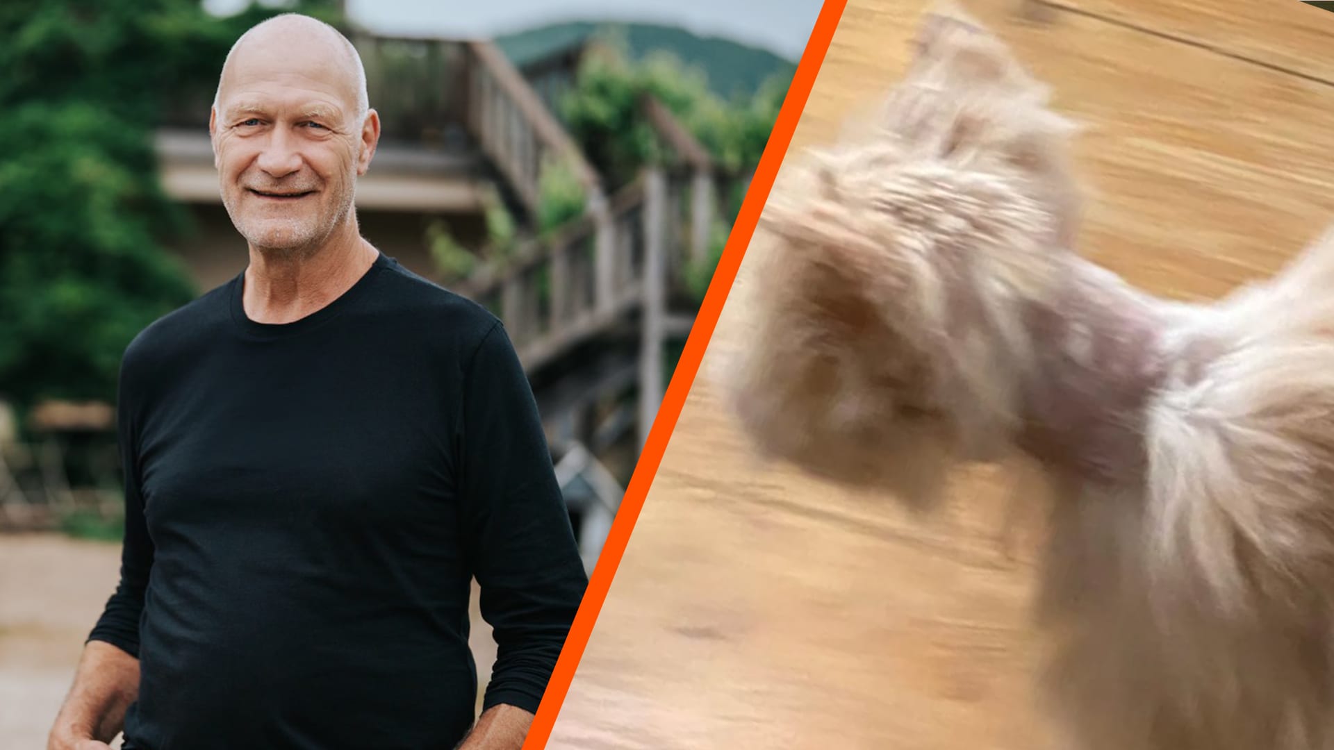 Alles over B&B Vol Liefde | Shownieuws