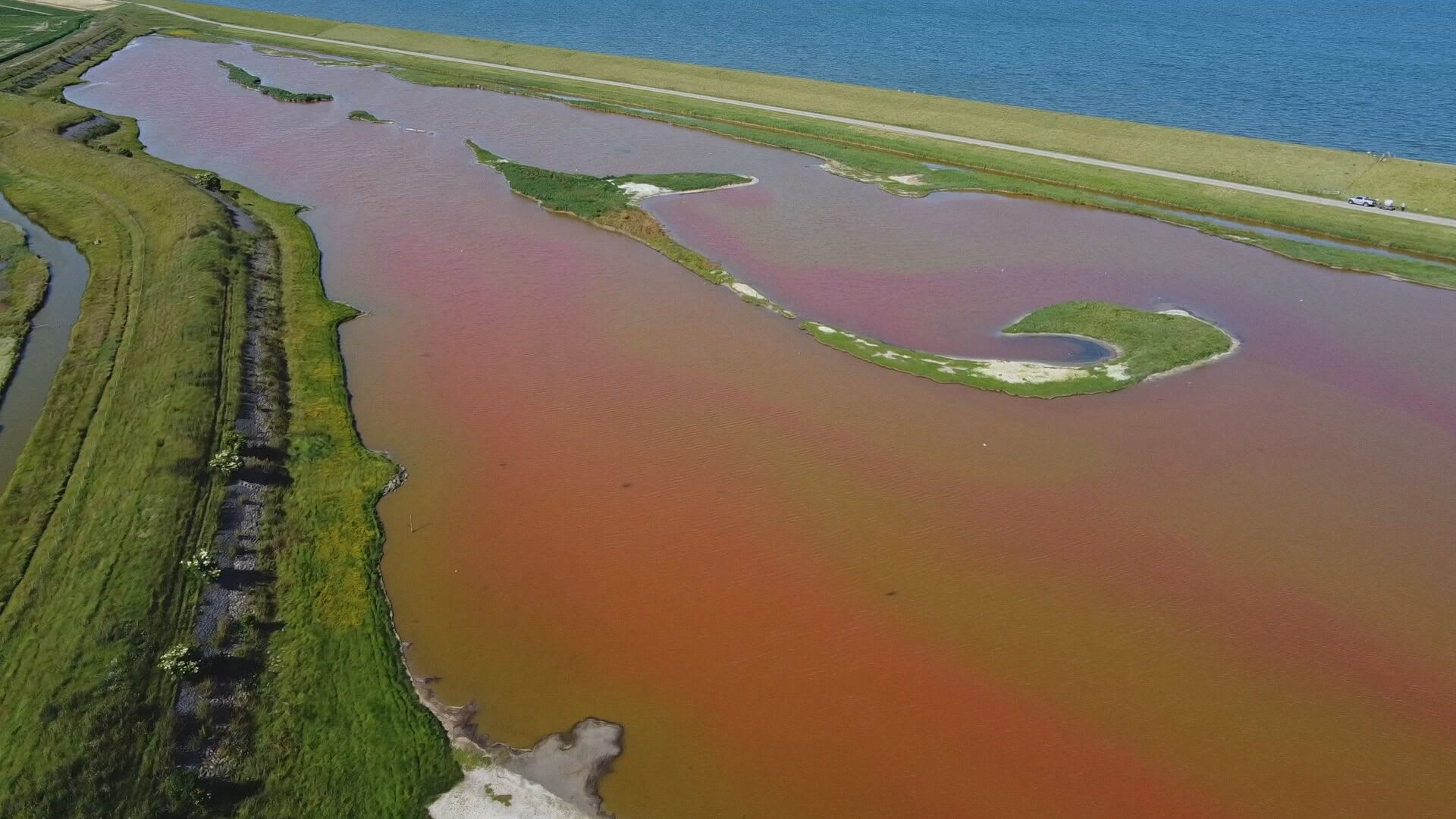 Bijzonder: waterplas op Texel kleurt knalroze, dit is waarom | Hart van ...