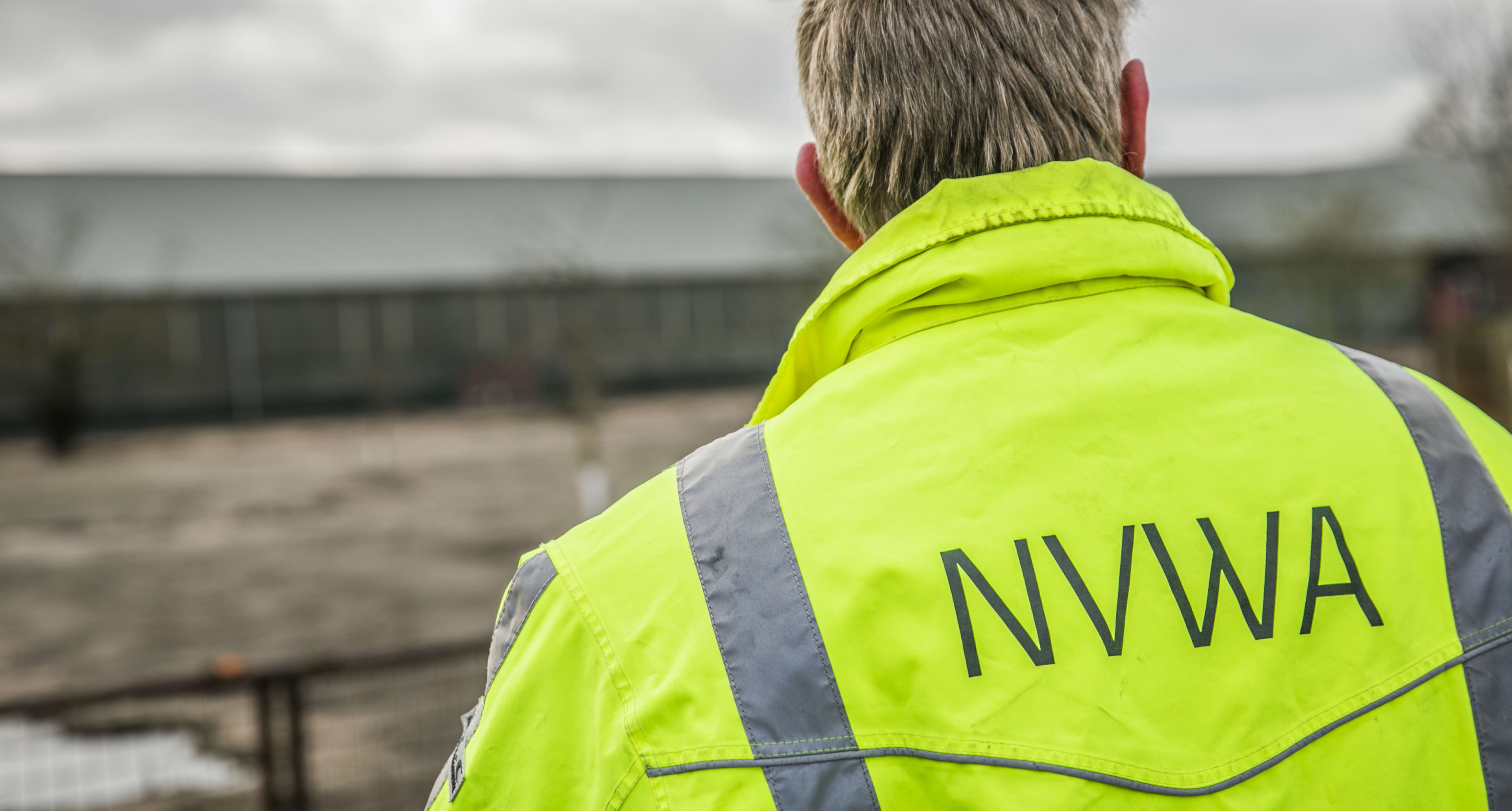 Dierenartsen kritisch op NVWA tijdens coronacrisis: 'Ze hebben ...