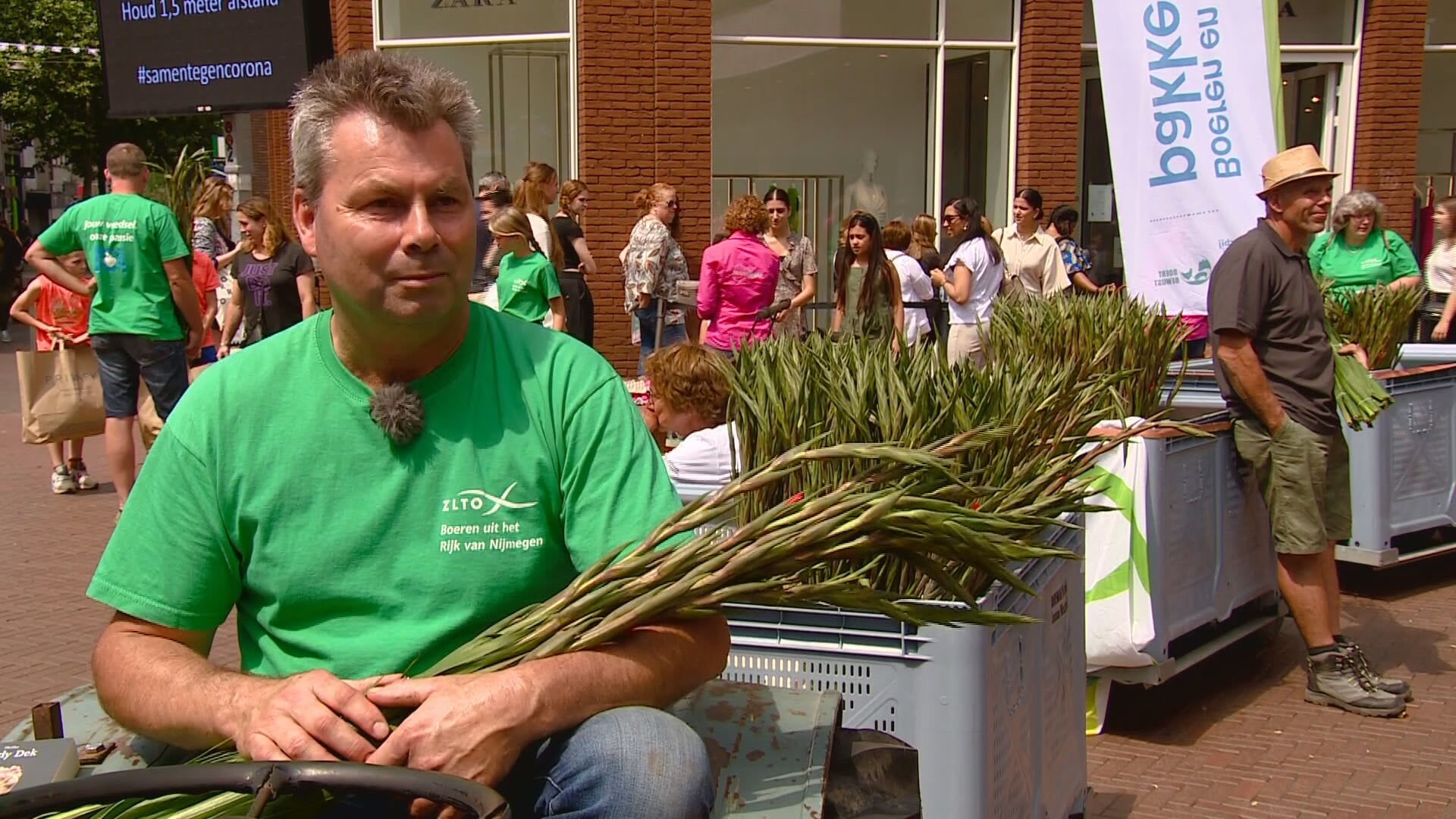 Boeren verkopen 'Vierdaagse gladiolen' voor het goede doel | Hart van Nederland