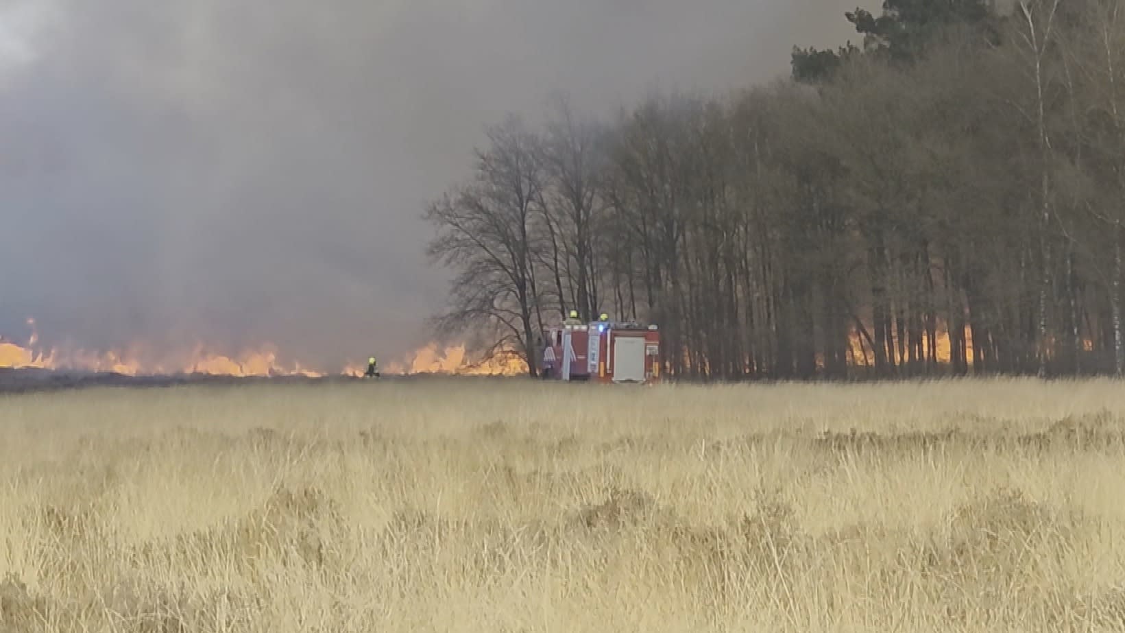 Grote natuurbrand bij Ede, vuur verspreidt zich snel | Hart van Nederland