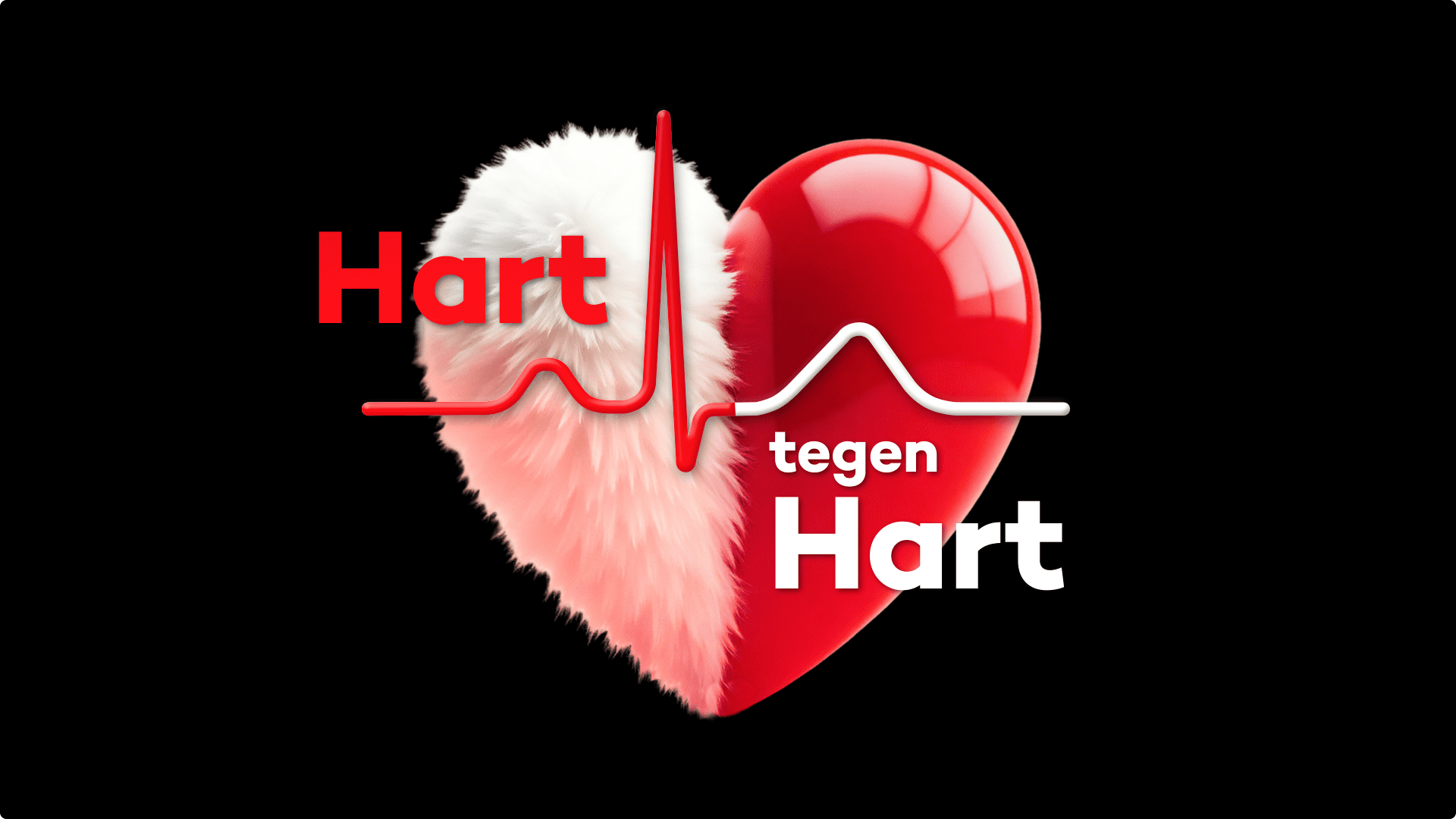 Déze nieuwe programma's zijn in de zomer te zien op SBS6 | Shownieuws