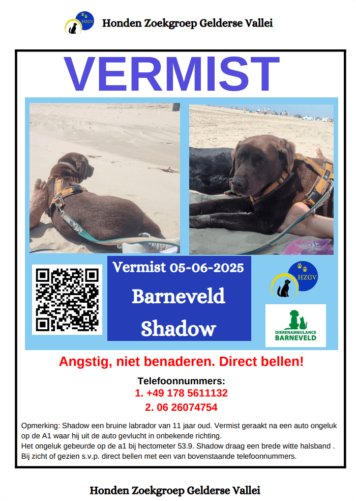 Hond Shadow vermist na ongeluk op A1: 'Haar niet benaderen, roepen of ...