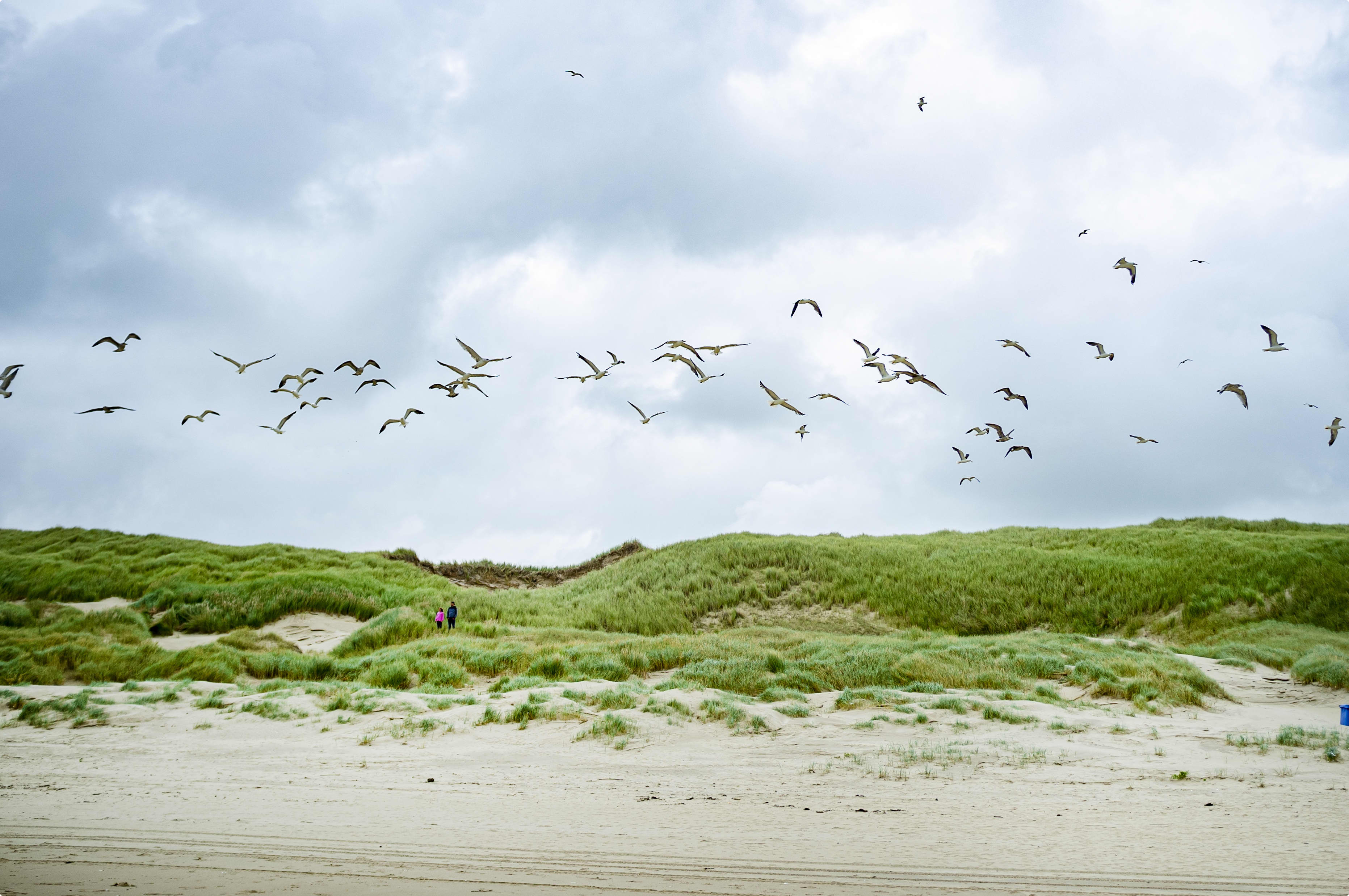 Zomerweer Op Komst Zóveel Kost Parkeren Bij Populaire Stranden Hart Van Nederland