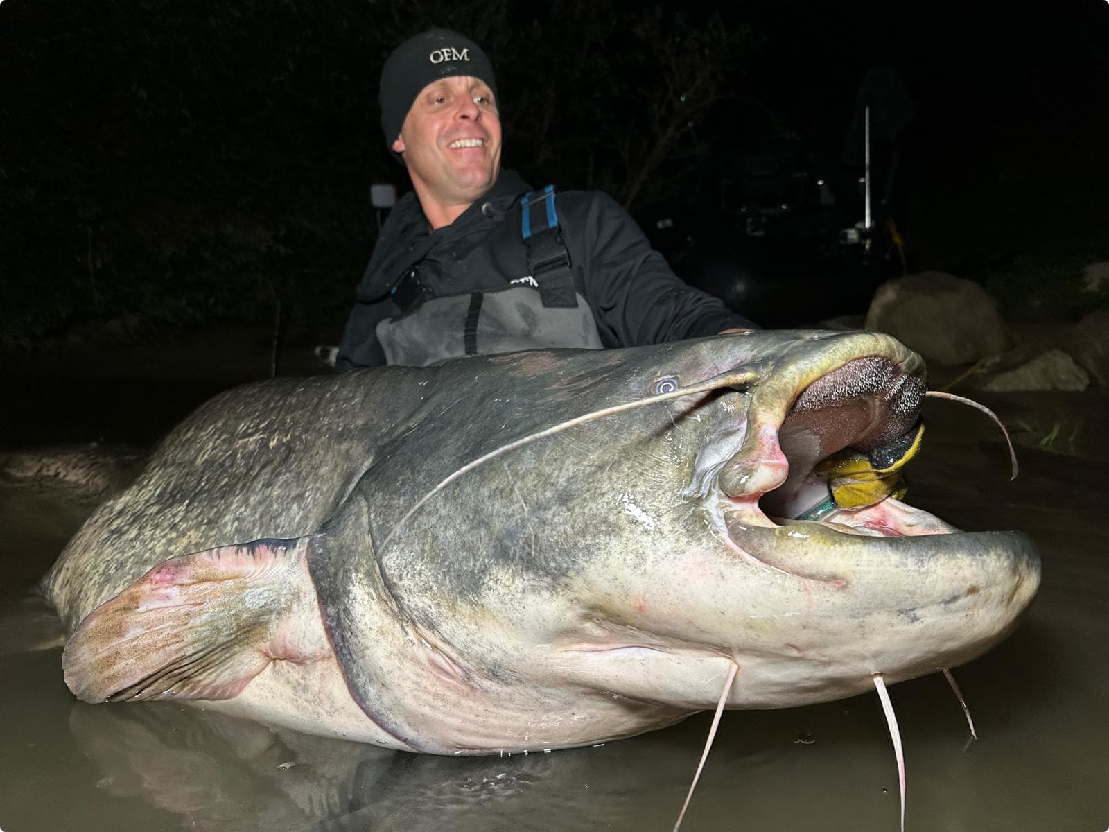 Visser Paul breekt record: gigantische meerval van bijna 2,5 meter ...