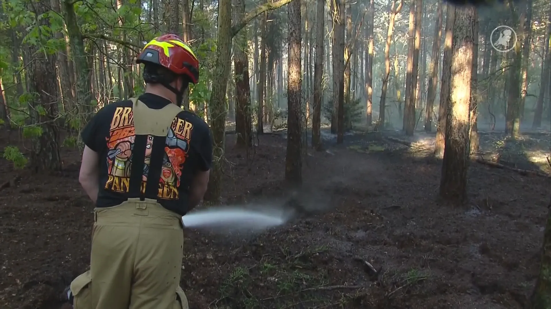 Grote natuurbrand Veluwe, rook van ver te zien en te ruiken | Hart van ...