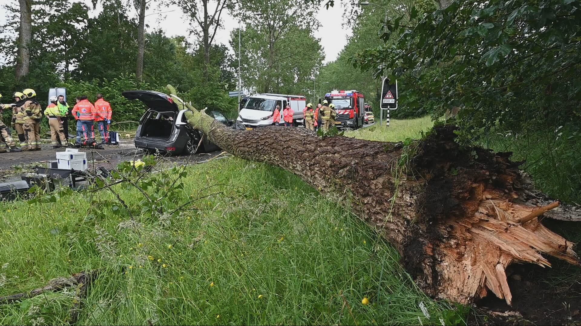 Bestuurder overleden nadat boom op auto valt in Boxtel | Hart van Nederland
