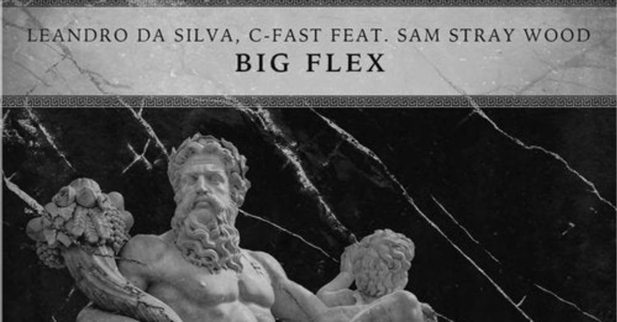 Big Flex van Leandro Da Silva ft. C-Fest & Sam Stray Wood is de nieuwe ...
