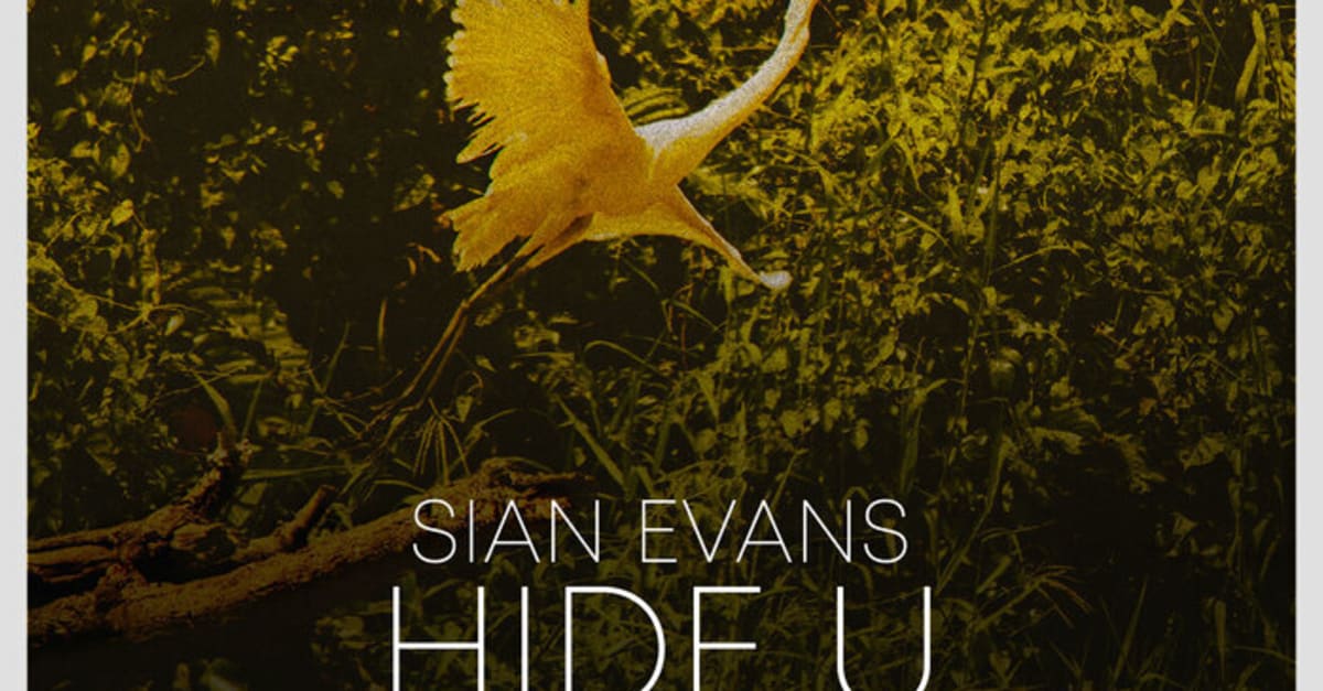 GEMAAKT: Sian Evans - Hide U (Tinlicker Remix) | Radio 538