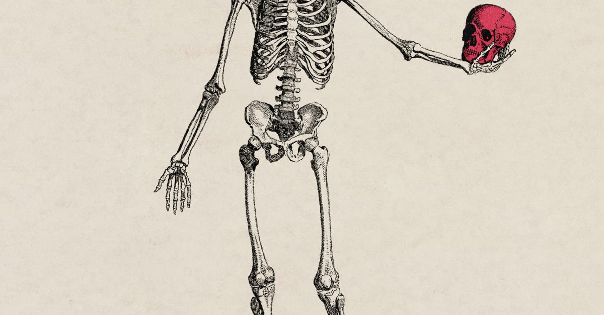 Bones van Imagine Dragons is de nieuwe 538 Favourite | Radio 538