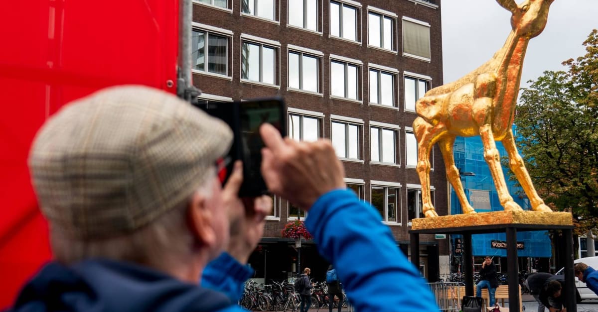 Korte film 'Alleen De Dood Liegt Niet' te zien op NFF | Shownieuws