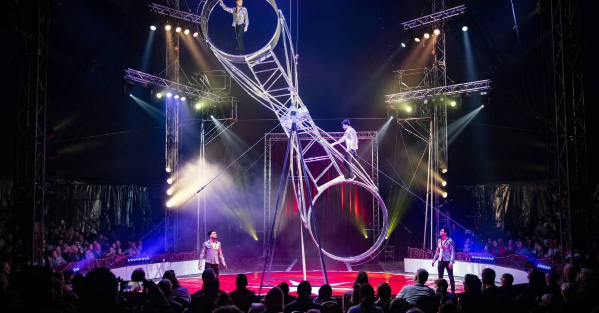 Act Rad des Doods gewoon weer uitgevoerd na heftig ongeluk in ...