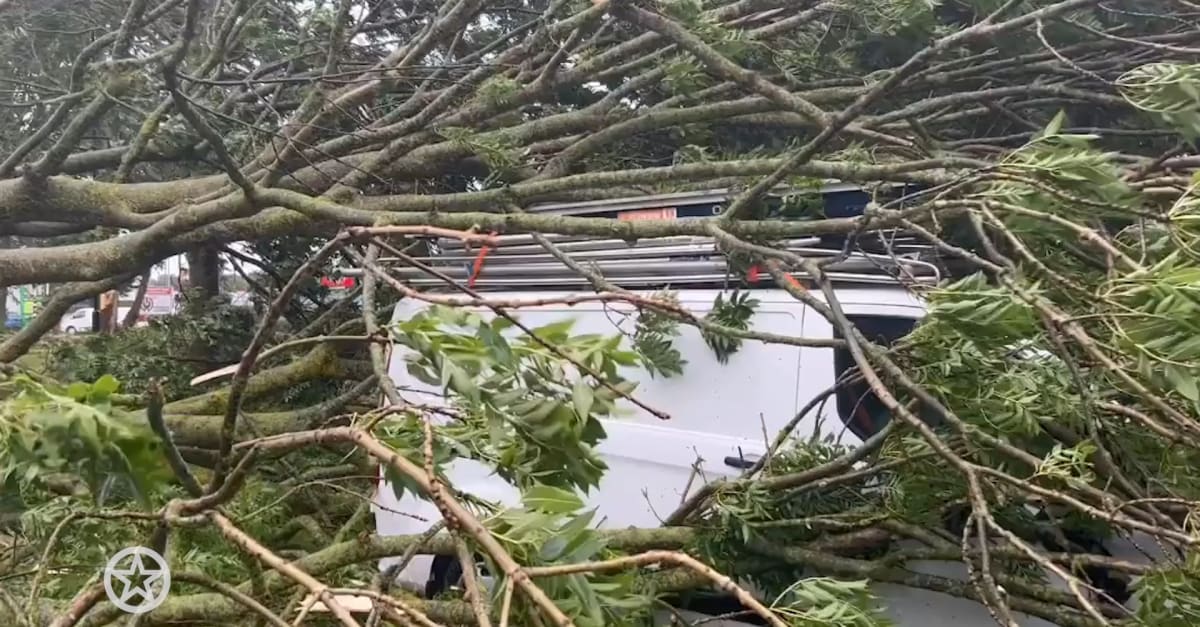 Ook bekend Nederland deelt stormschade zeer zware zomerstorm Poly ...