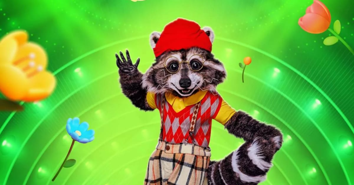 Geen verrassing: Dit is De Wasbeer | Shownieuws