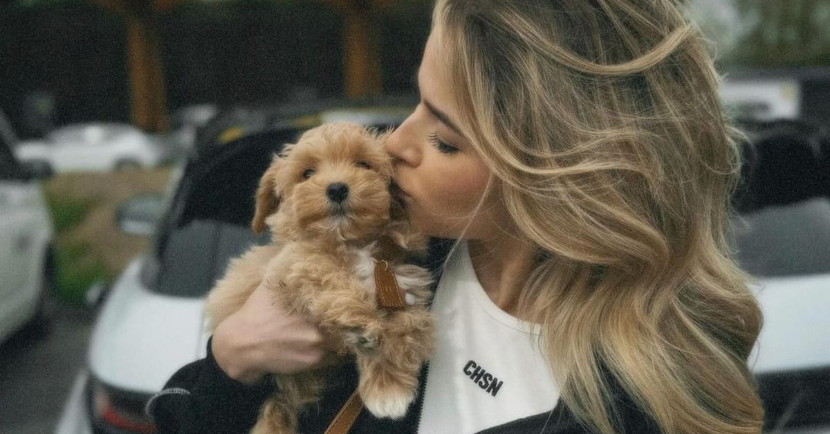 Verdrietig nieuws voor hondje Jade Anna: 'Arm beestje...' | Shownieuws