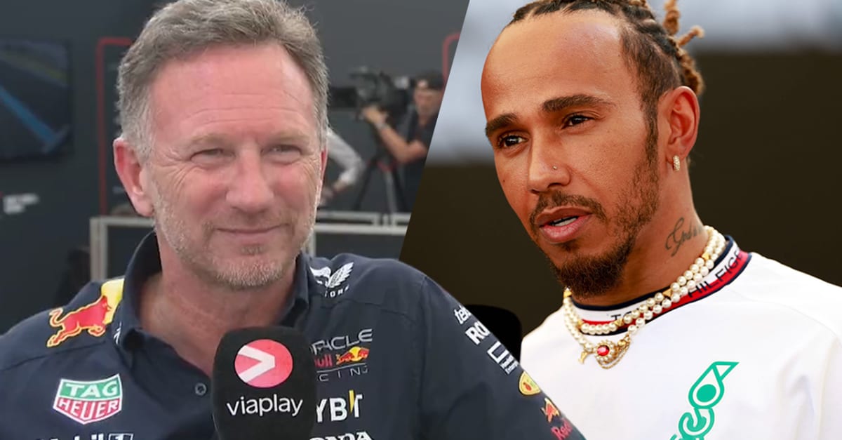 Horner werd gebeld door vader van Hamilton om te informeren naar ...