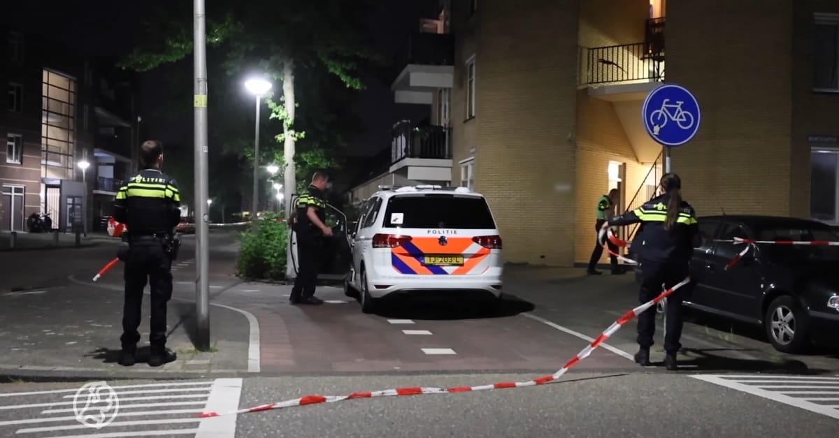 Man steekt twee minderjarige jongens neer in Spijkenisse, politie op zoek naar dader | Hart van ...