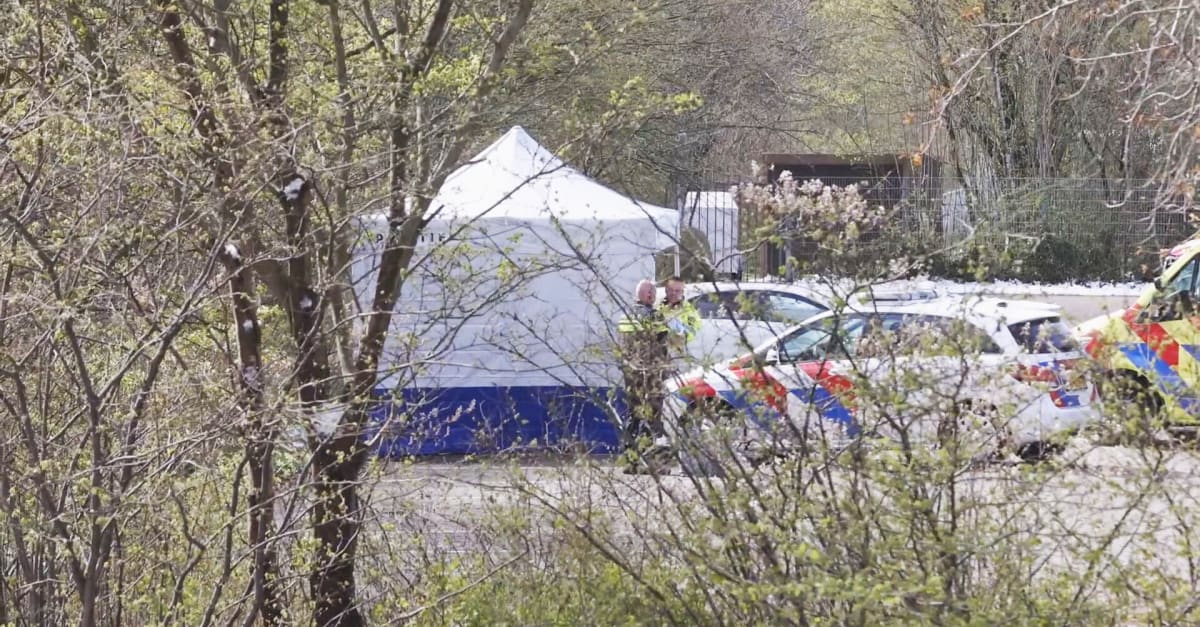 Tweede verdachte opgepakt voor dodelijke schietpartij Hoofddorp | Hart van Nederland