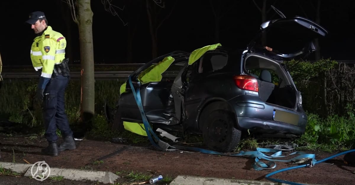 Automobilist zwaargewond na botsing tegen boom in Oosterhout | Hart van Nederland