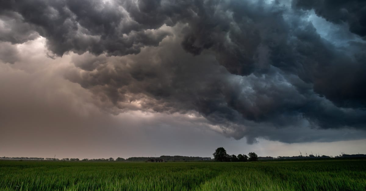 KNMI geeft code geel af: zware onweersbuien met hagel in Limburg | Hart van Nederland