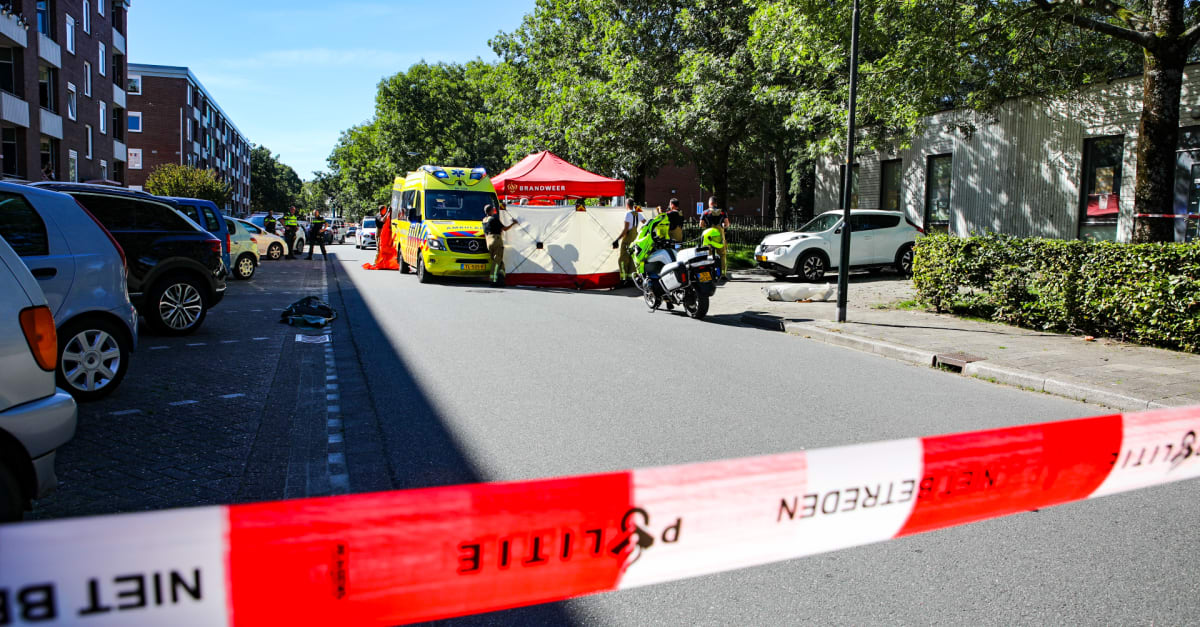 Vrouw doodgestoken in Apeldoorn, verdachte opgepakt | Hart van Nederland