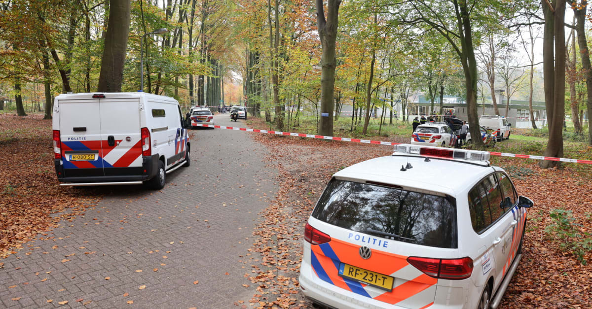 Gewonde door steekpartij op middelbare school in Wapenveld, acht jongeren aangehouden | Hart van ...