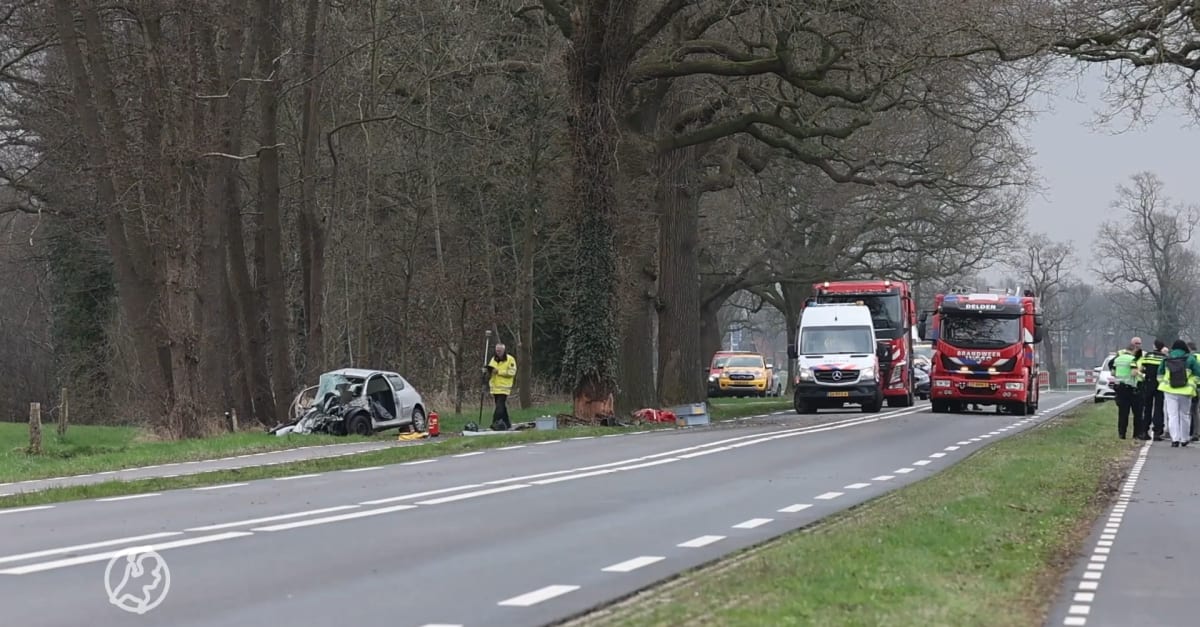 Automobilist overleden bij botsing tegen boom in Delden | Hart van Nederland
