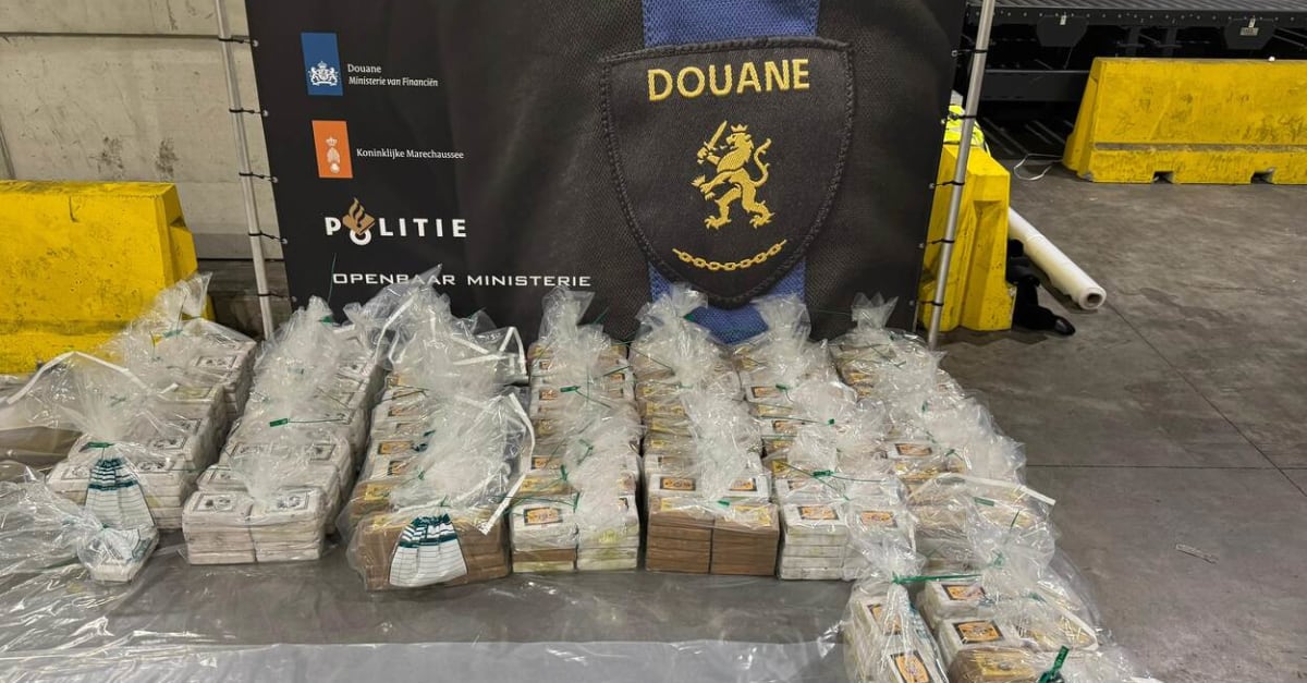 Dik 700 kilo coke gevonden tussen bananen in haven van Vlissingen ...