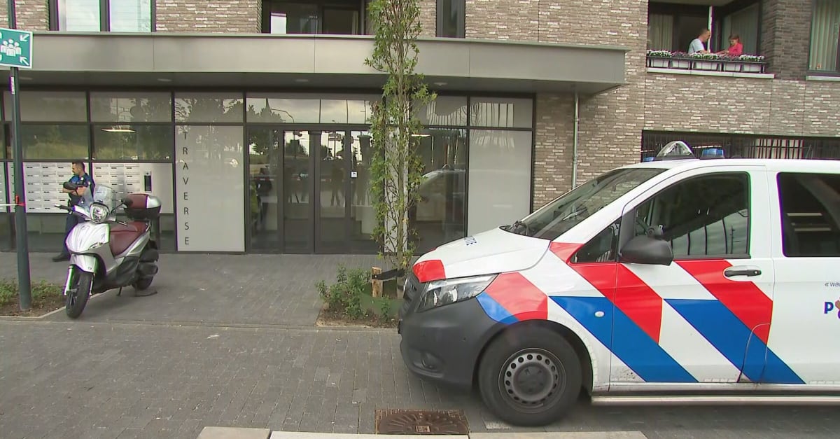 Dode bij schietpartij in Venlo, politie houdt verdachte aan | Hart van Nederland