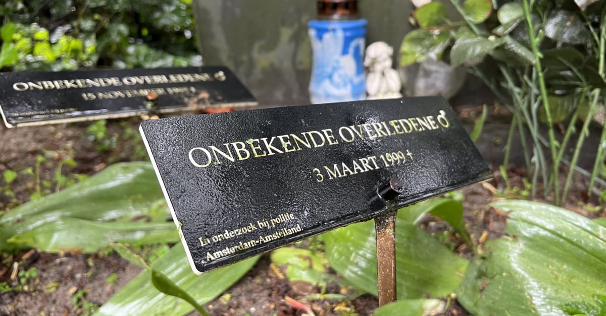 Vermissing na 20 jaar toch opgelost: 'Eén detail maakte het verschil ...