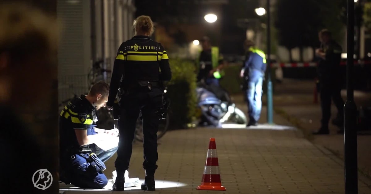 Drie minderjarigen opgepakt voor schietincident in Berlicum | Hart van Nederland