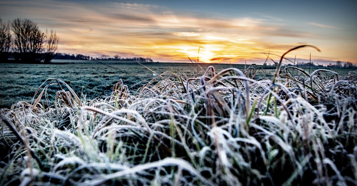 IJskoude ochtend: de eerste herfstvorst van het jaar is een feit | Hart ...