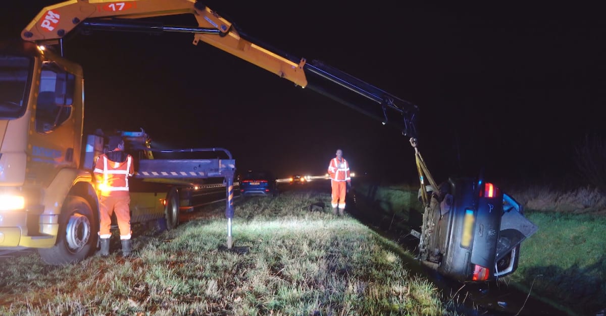 Hond vlucht uit auto na ongeluk, wordt daarna doodgereden op N377 ...