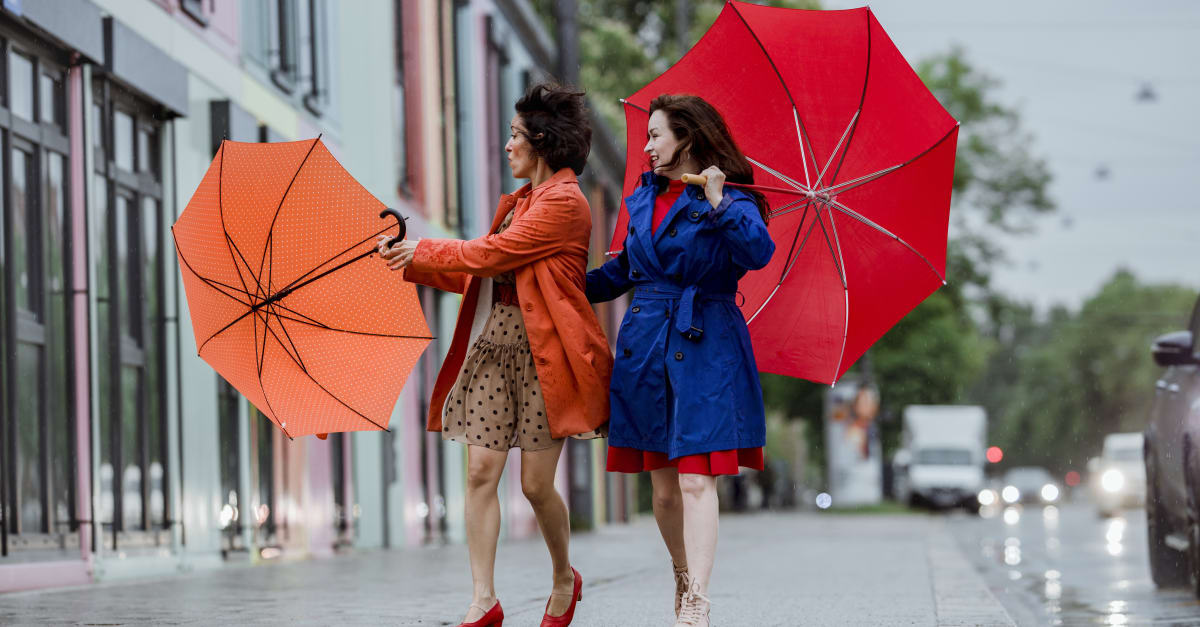 Code geel in meerdere provincies vanwege zware windstoten | Hart van Nederland