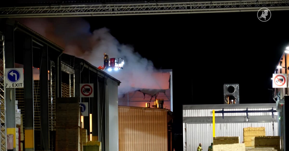 Grote brand in Hasselt: loods met houtsnippers in lichterlaaie | Hart ...