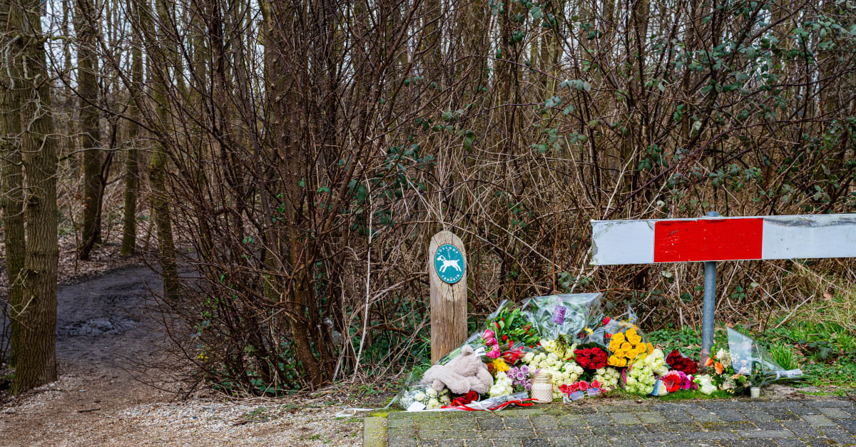 Verdachte (13) doodsteken leeftijdsgenoot Schiedam blijft langer vast | Hart van Nederland