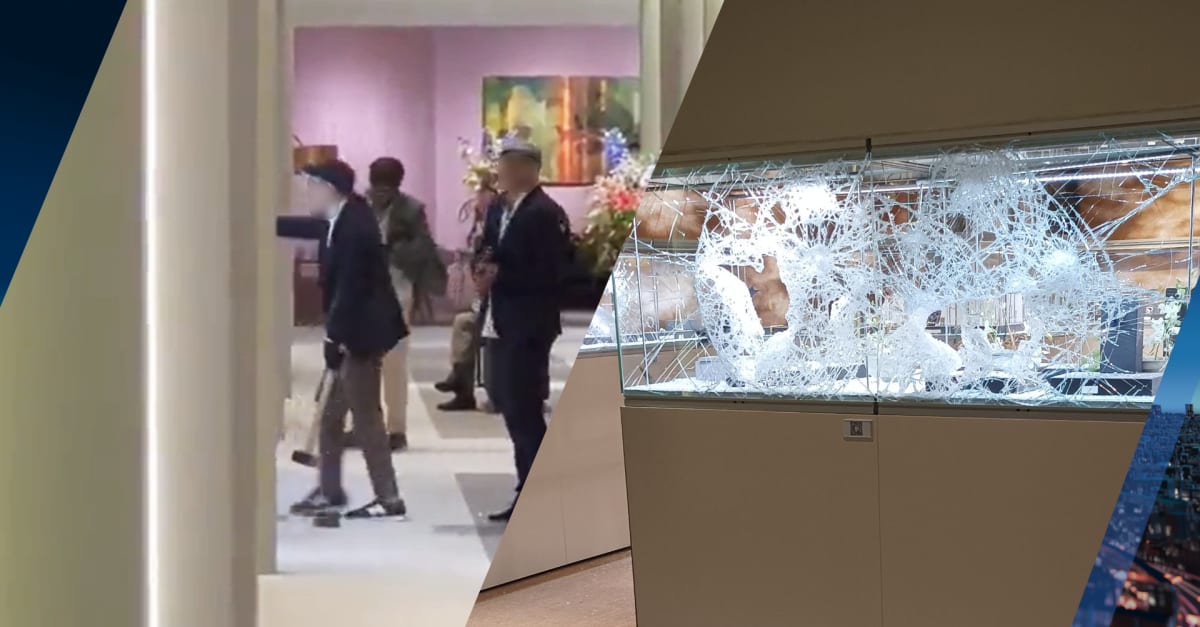 Net als in de film: nieuwe beelden gedeeld van gewelddadige 'TEFAF-roof ...