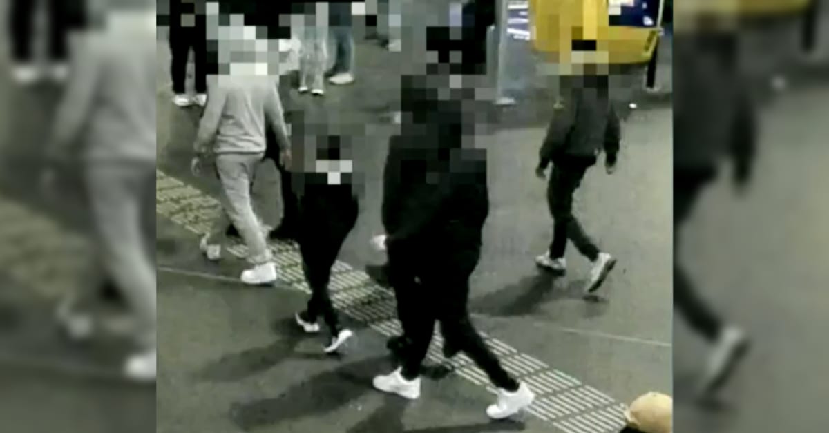 Politie deelt eerste beelden van verdachten zware mishandeling op station Bijlmer Arena | Hart ...