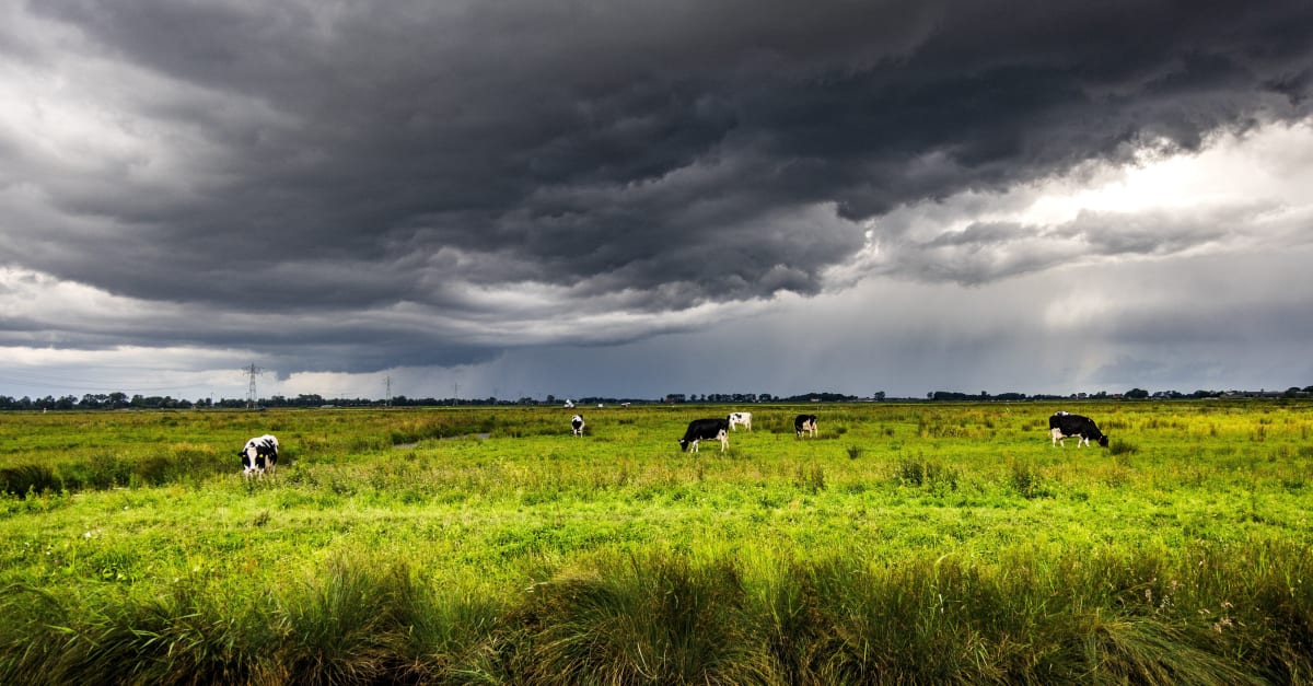 Regen, regen en nog eens regen met later zon en... regen | Hart van ...