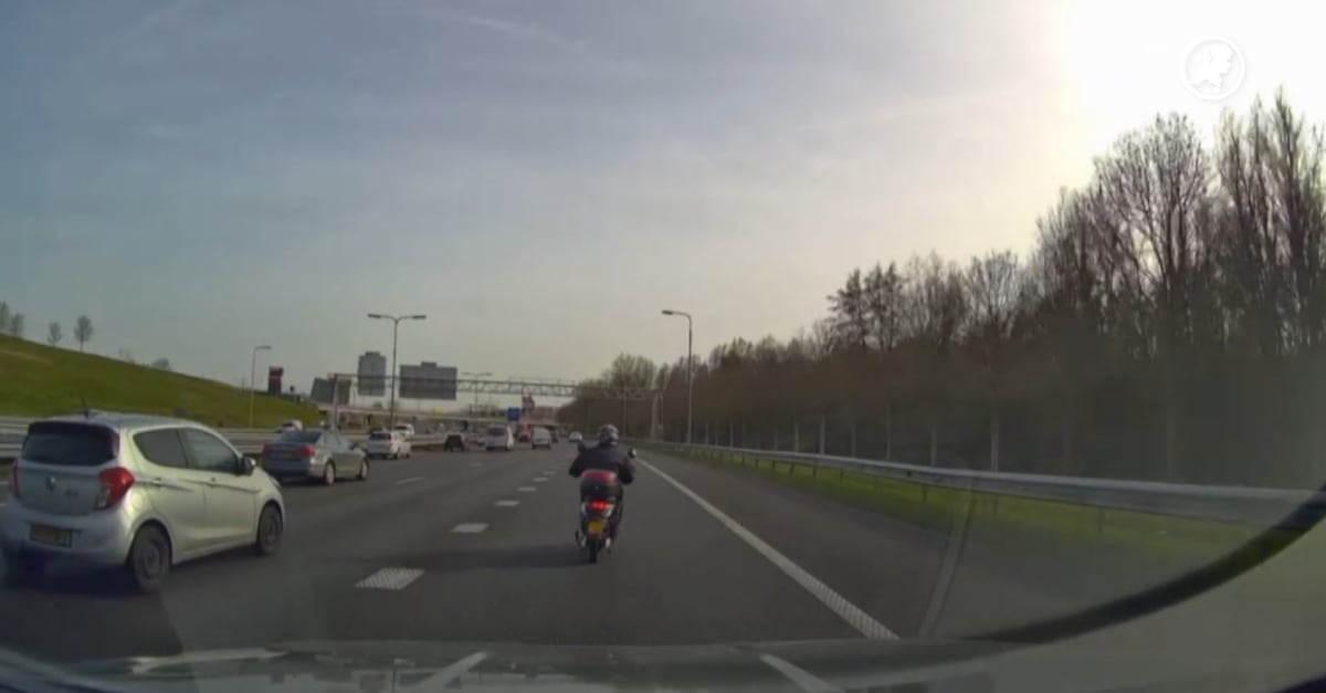 ZIEN: Scooterrijder zorgt voor gevaar op A13, rijdt tussen auto’s op ...
