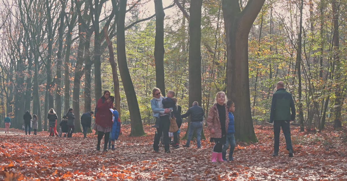 Massaal de natuur in: code rood voor tien Brabantse natuurgebieden ...