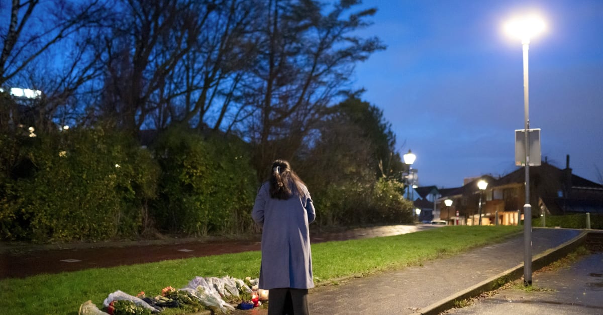 Vermeende seriemoordenaar Sendric S. bekent drie moorden in Rotterdam-IJsselmonde | Hart van ...