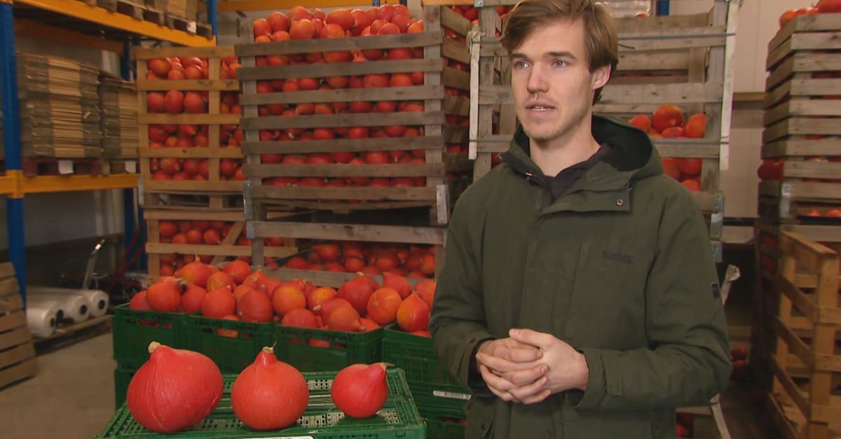 Te klein, te groot of misvormd: pompoenverkoper Ivar strijdt tegen ...