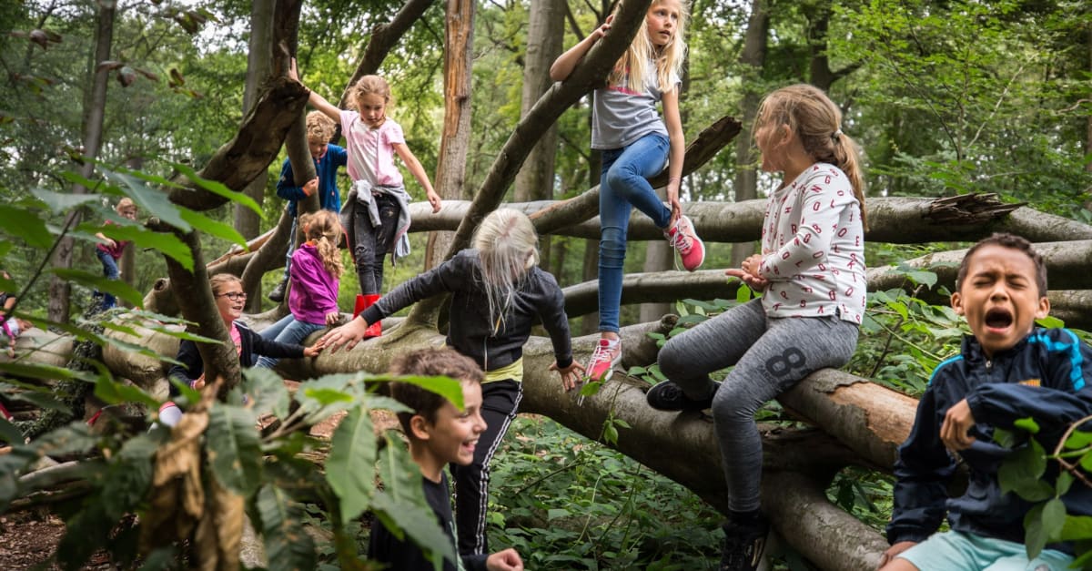 Nederlandse kinderen steeds gelukkiger, maar niet iedereen is blij ...
