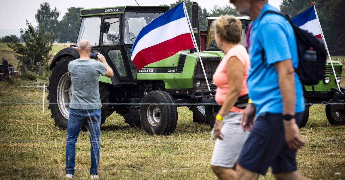 Geen boerendemonstratie bij intocht Vierdaagse in Nijmegen, wel melk, kaas en gladiolen | Hart ...