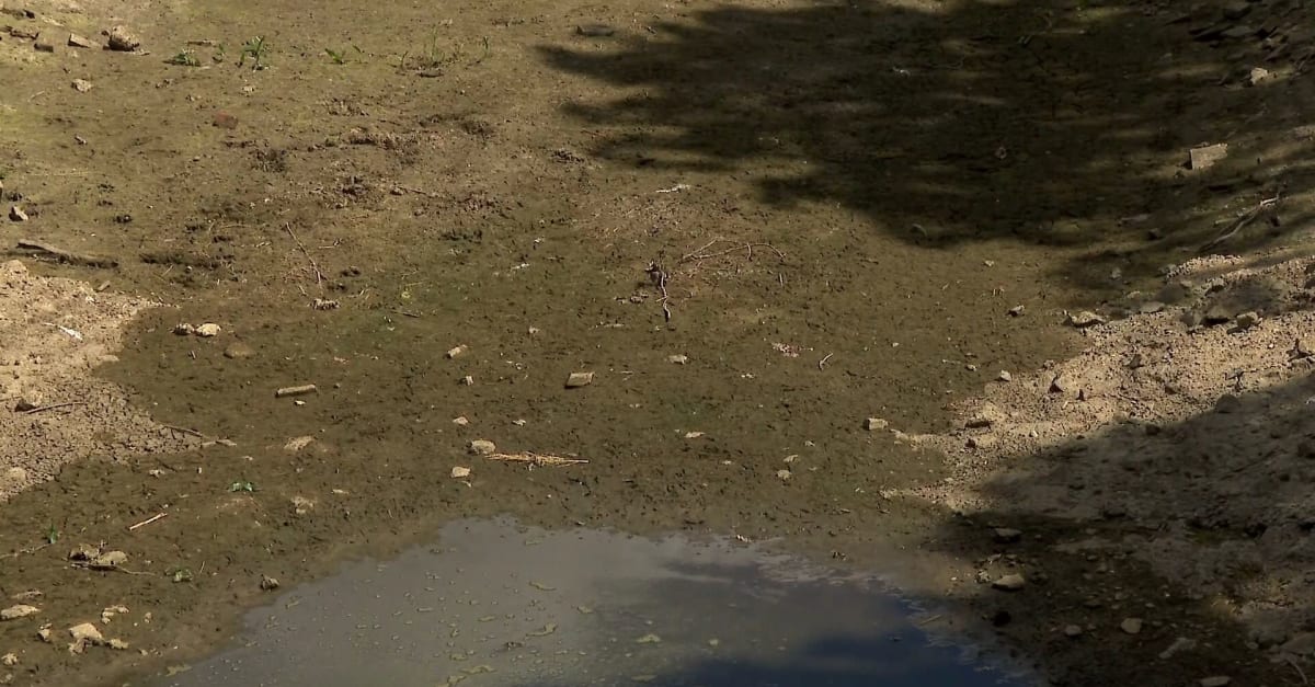 Weinig Nederlanders onder de indruk van dreigend watertekort: 'Er is ...