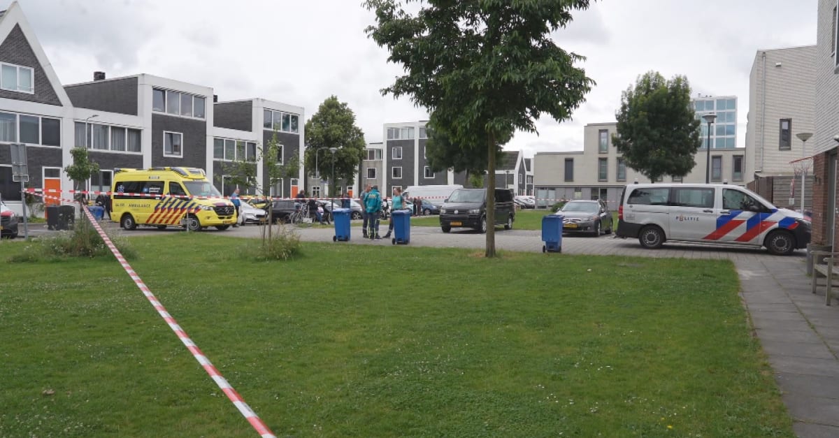 Man (30) aangehouden voor dood vrouw (67) op parkeerplaats in Zwolle | Hart van Nederland