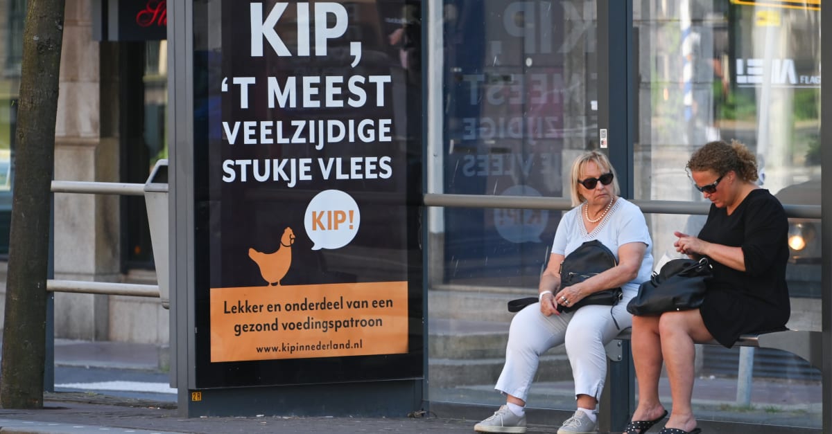 Steeds meer gemeenten verbieden vlees- en vliegreclames in bushokjes | Hart van Nederland