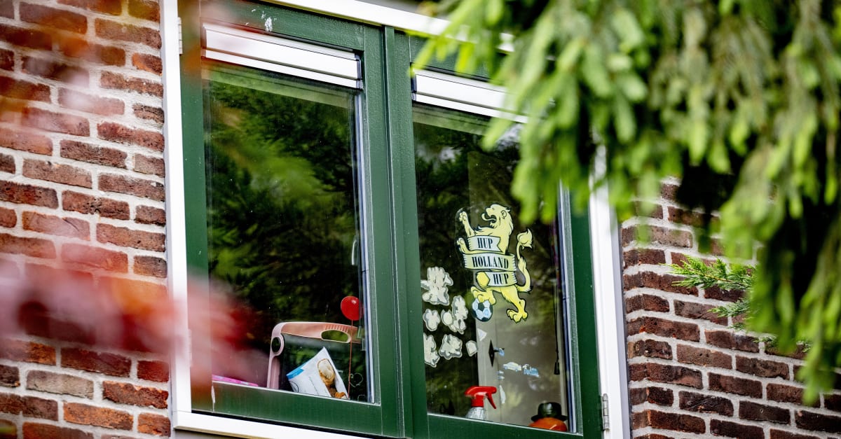 Hoe kon het zo mis gaan bij de zaak met het zwaargewonde meisje in Vlaardingen? | Hart van Nederland