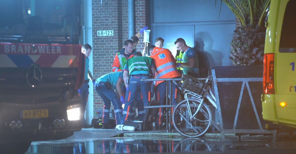 Doodgeschoten man gevonden in woning Rotterdam | Hart van Nederland